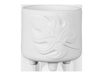 Monstera Container – All Fired Up