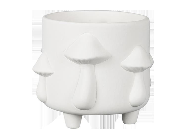 Mushroom Container – All Fired Up